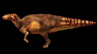 Scientists Find Surprise in 75M-Year-Old Dino Poop