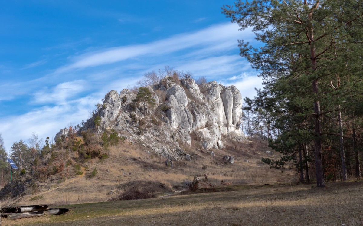 Ancient Bones Found in Cave Show Signs of Cannibalism