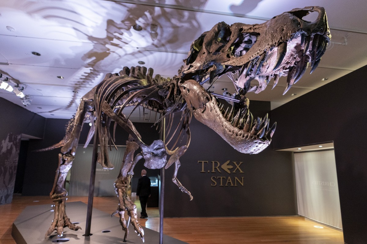 The Rich's Appetite for T. Rex Fossils Is Problematic