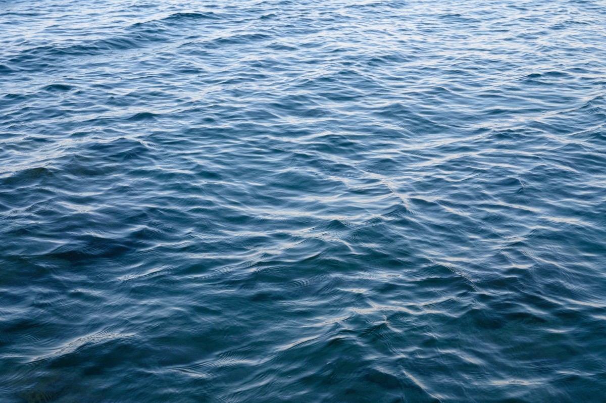 Small Plane Crashes Off San Diego, 'Nose First'