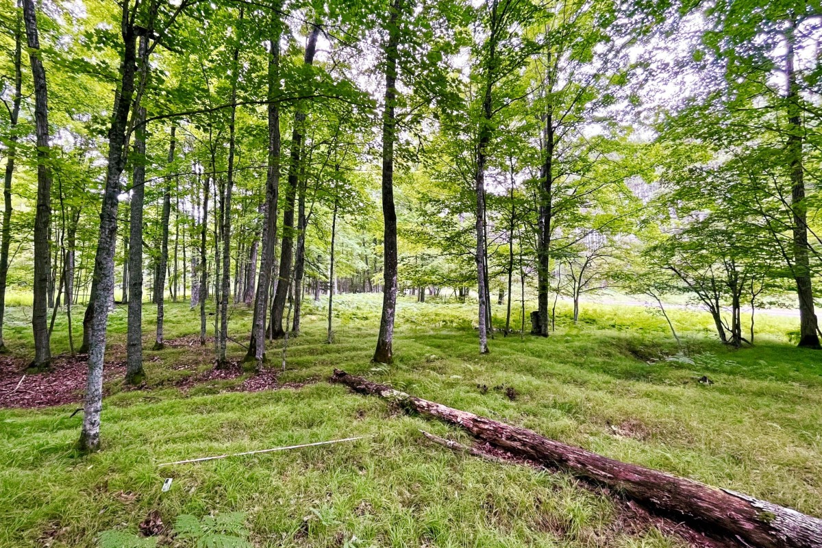Ancient Farm Site Showcases Indigenous Ingenuity