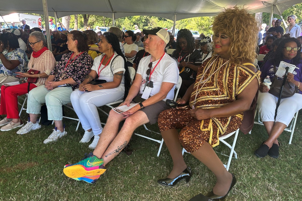 Tina Turner Now Towers Over Hometown Park