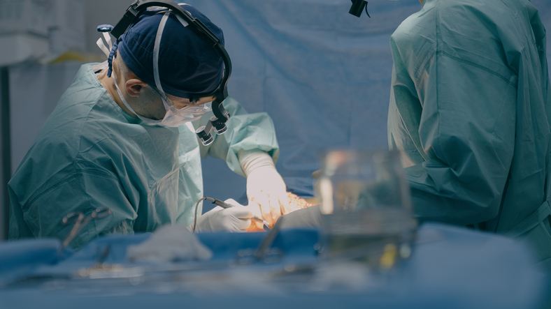 Transplant Fatality: Donor Gave Recipient Rabies