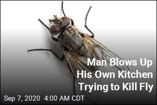 Newser | Headline News Summaries, World News, and Breaking News