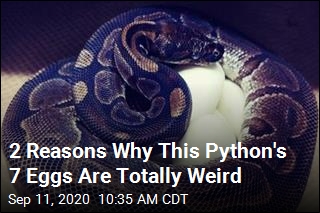 Newser | Headline News Summaries, World News, and Breaking News